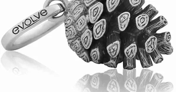 LKD043 Evolve NZ Pinecone Charm| EVOLVE NEW ZEALAND - Evolve Charms On ...
